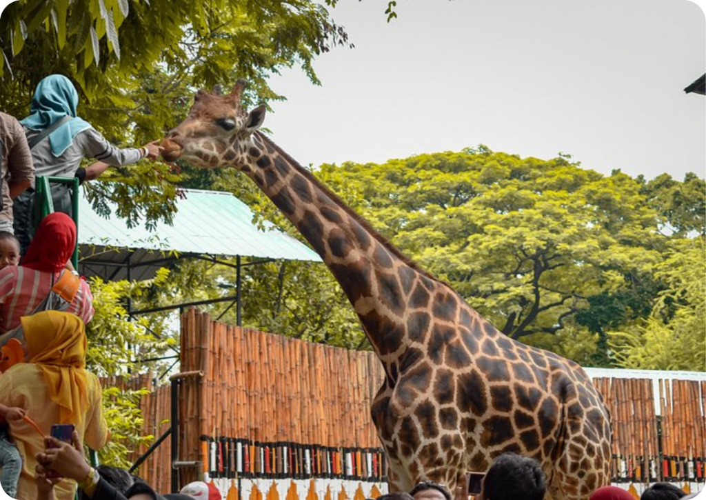 Surabaya Zoo - Food Technology Program