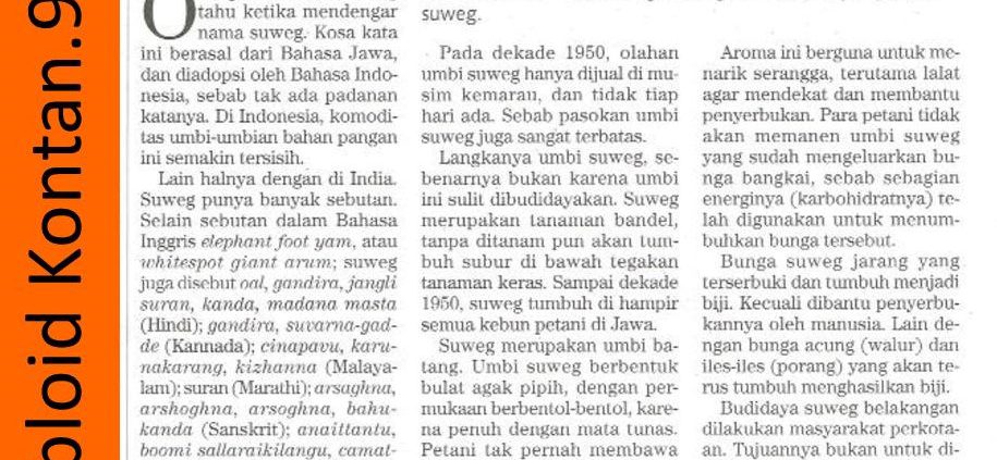 Suweg Umbi Terlupakan – Library