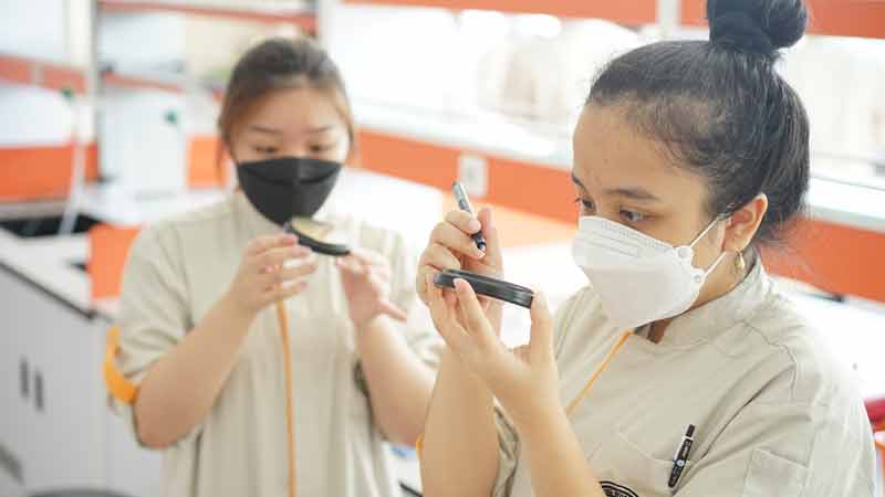 Macam-macam Teknologi Pangan Prospek Kerja di Indonesia - Universitas ...